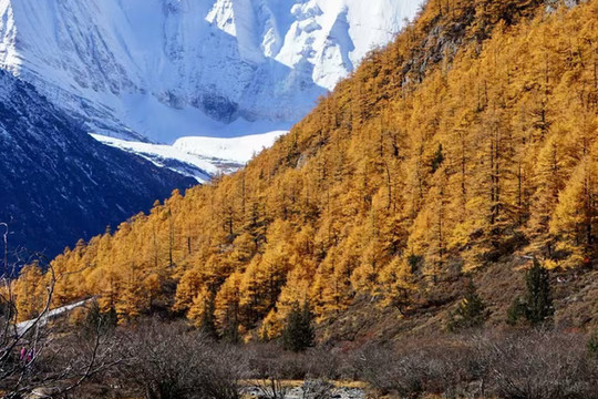 Exploring Ganzi Tibetan Autonomous Prefecture: A Cultural and Natural ...