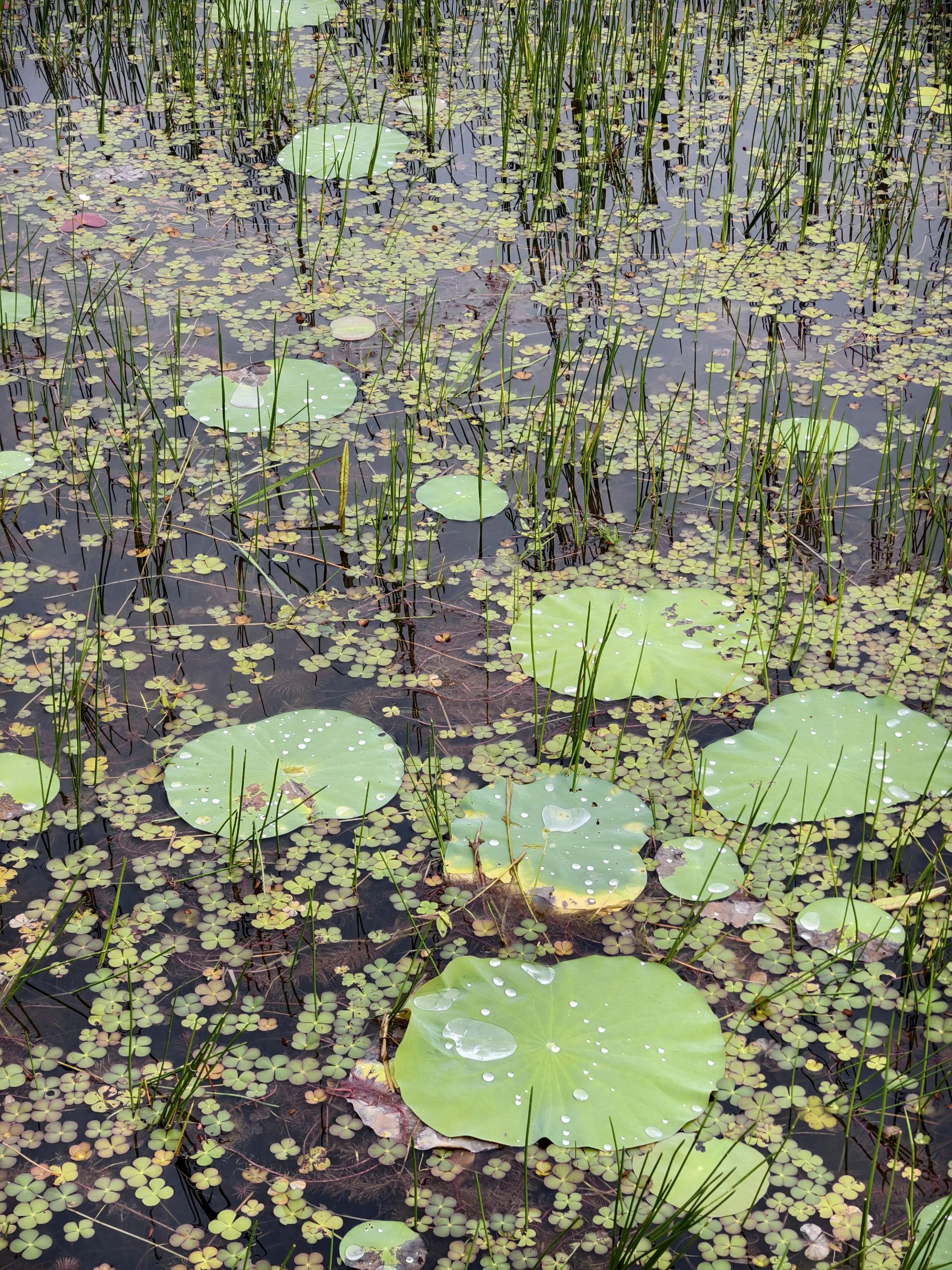 馬達加斯加附近的旅遊攻略：熱門精選好去處、天氣、交通、熱門景點及全面指南，為您提供一切所需的資訊（於2025年更新）｜Trip.com