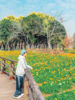 Things to Do in Shunde District in 2025 - Top Attractions, Local Food ...