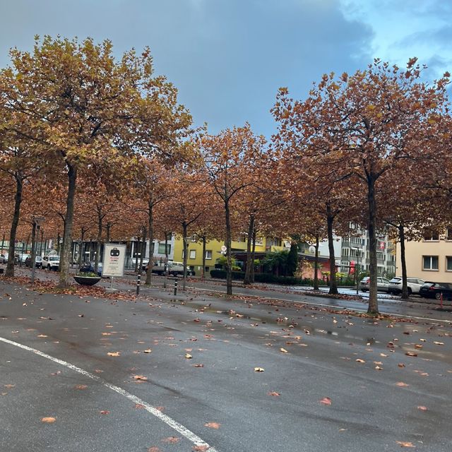 Fall along the road, autumn never leaves | Trip.com Interlaken