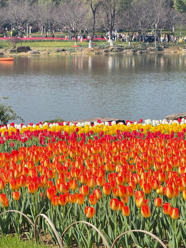 Must-visit spot for spring outings at Guazhu Lake | Trip.com Shaoxing