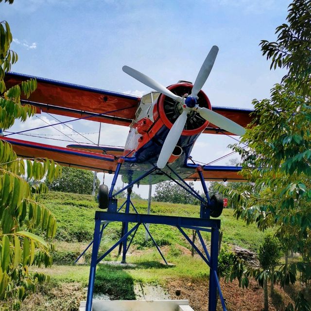 Walters Farm, a laid-back weekend getaway! | Trip.com Segamat