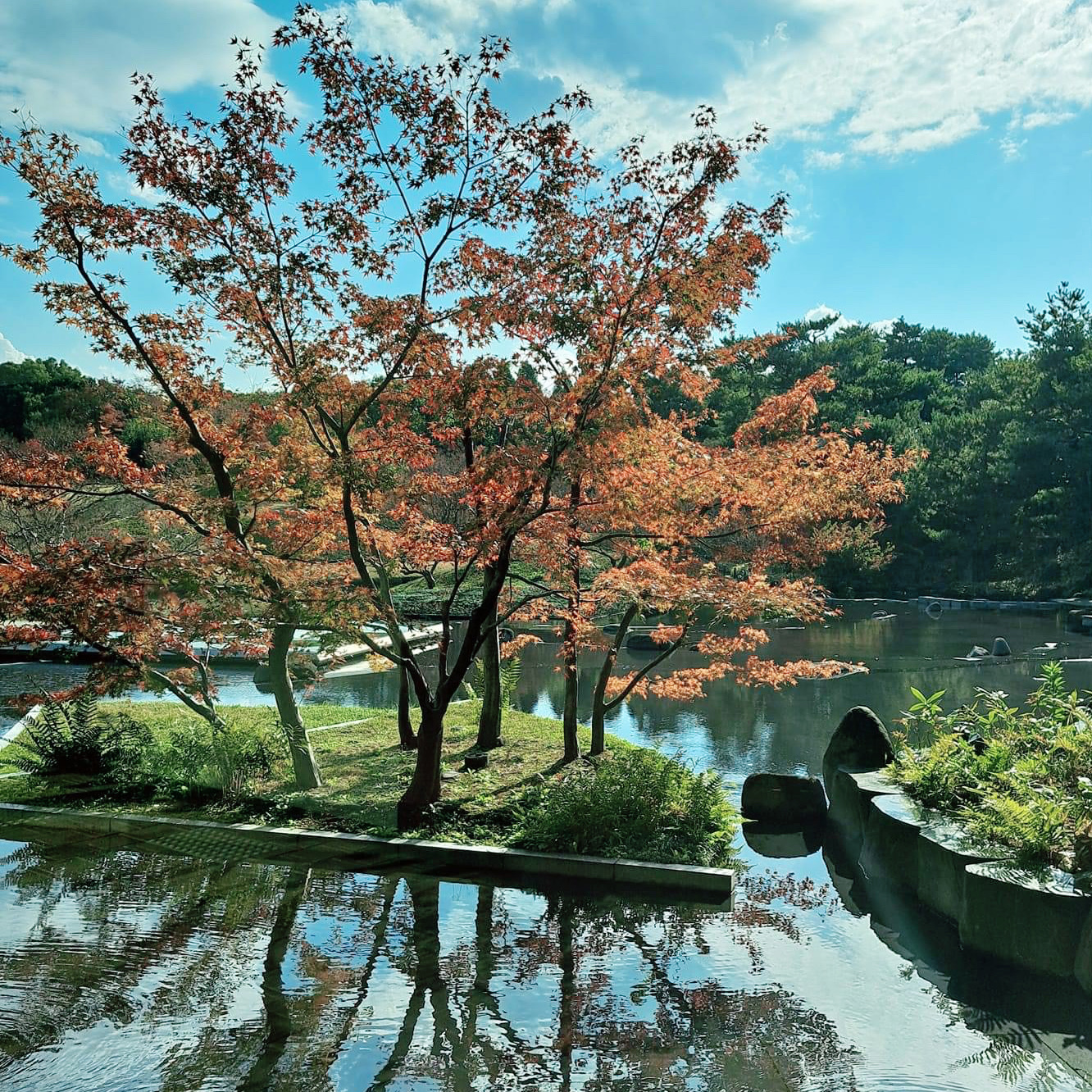 Things to Do in Mitaka in 2024 - Top Attractions, Local Food, Hotels ...