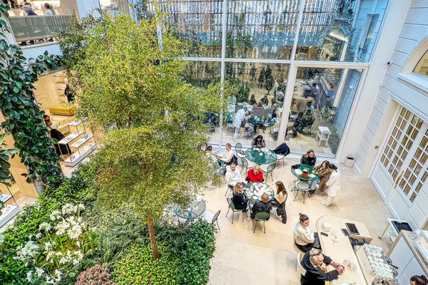 Restaurant Monsieur Dior & Café, Paris 🇫🇷 | Trip.com Paris