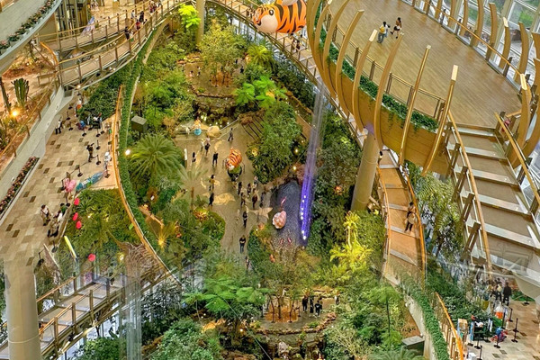 Chongqing's Floating Forest! A 'fairyland on earth' worth visiting 100 ...