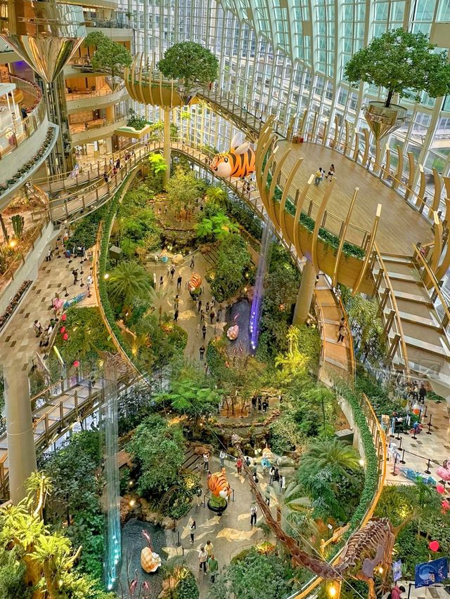 Chongqing's Floating Forest! A 'fairyland on earth' worth visiting 100 ...