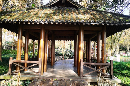 Hangzhou West Lake| Yang Gong Causeway in early winter is so suitable ...