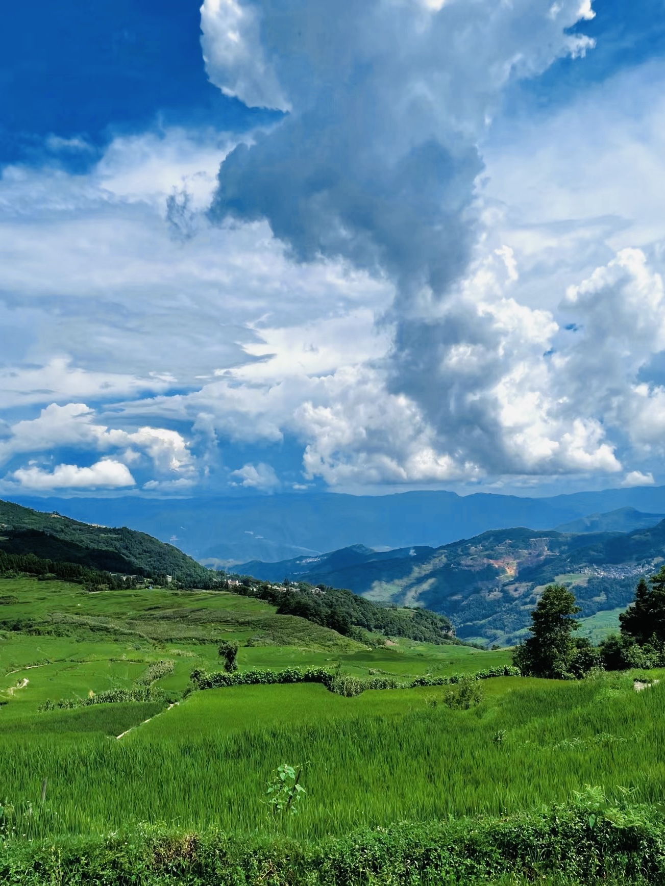 Yuanyang Travel Guide 2024 - Things to Do, What To Eat & Tips | Trip.com