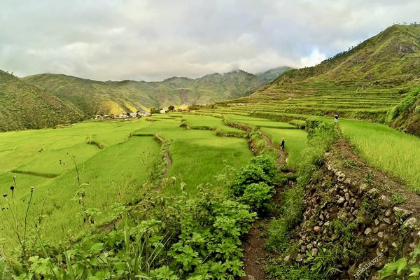 Tinglayan Rice Terraces | Trip.com Kalinga