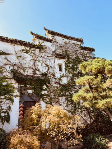 Charming China🏯 | Trip.com Shanghai