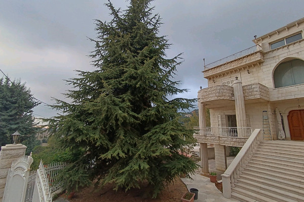My Little Lebanon🌲 | Trip.com Hammana