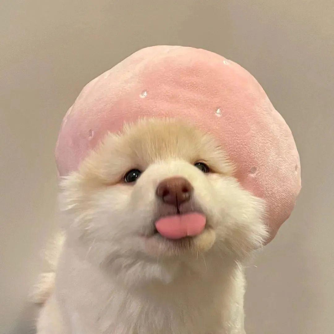 Things to Do in Baoxing in 2025 - Top Attractions, Local Food, Hotels ...