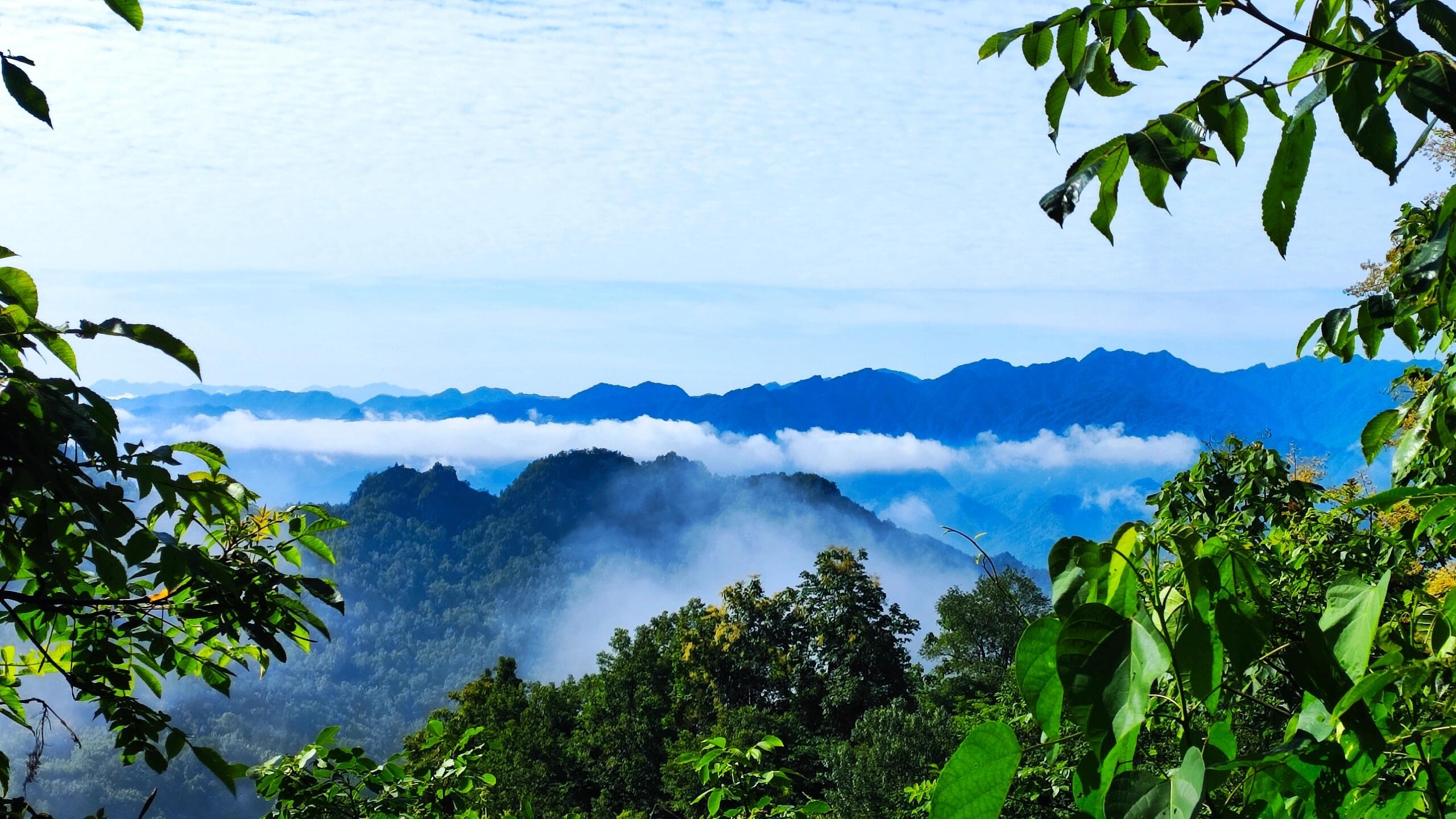 Things to Do in Shiyan in 2024 - Top Attractions, Local Food, Hotels ...