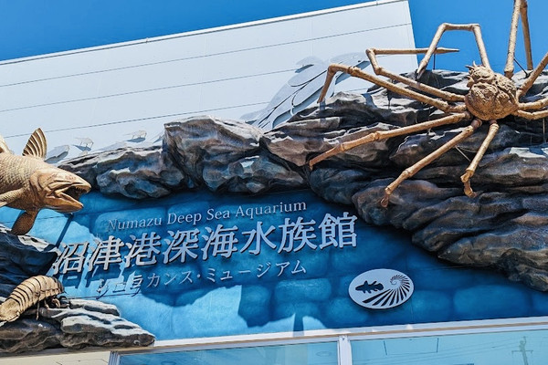 Exhibition of Deep Sea Fish | Trip.com Numazu