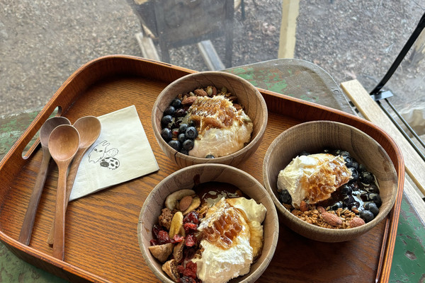 【安国】DOTORI GARDEN (ドトリガーデン) | Trip.com 韓国