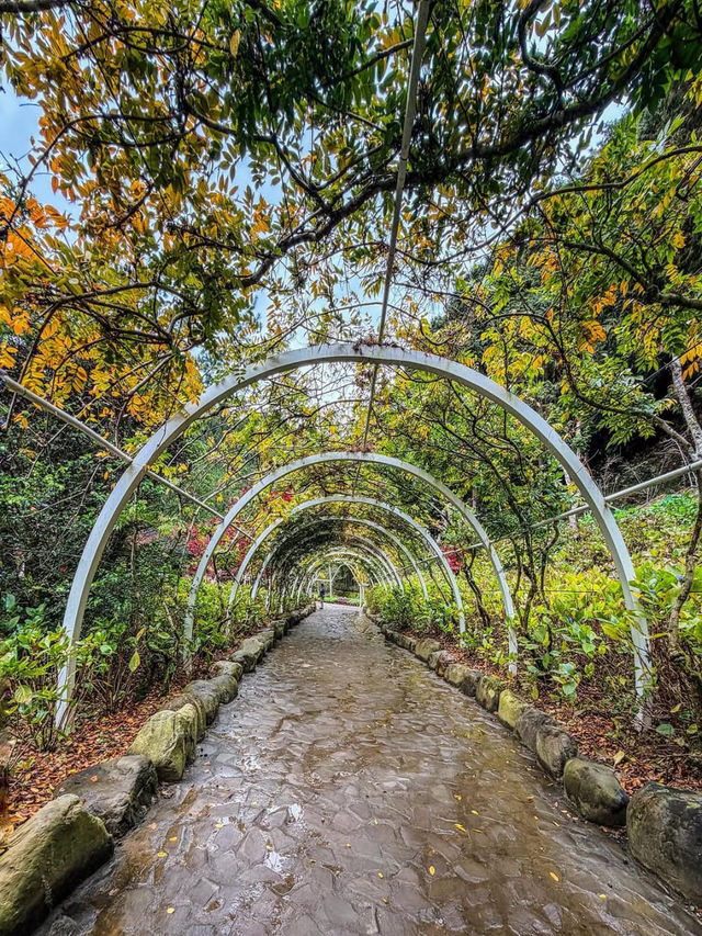 A Blooming Retreat in Scenic Nantou | Trip.com Taiwan