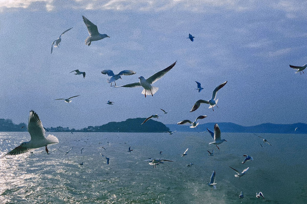 Turtle Head Isle in Wuxi | A fairyland on Taihu Lake | Trip.com Wuxi