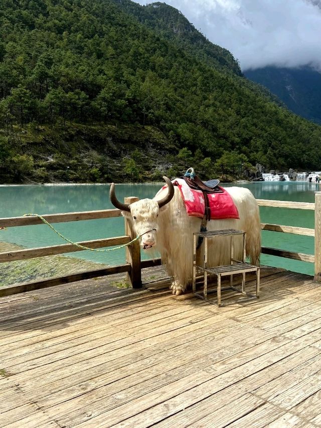 Blue Moon Valley: The Turquoise Miracle | Trip.com Yulong