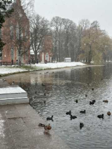 Hermitage Walks Catherine Park — A Stroll Through Imperial Elegance in ...