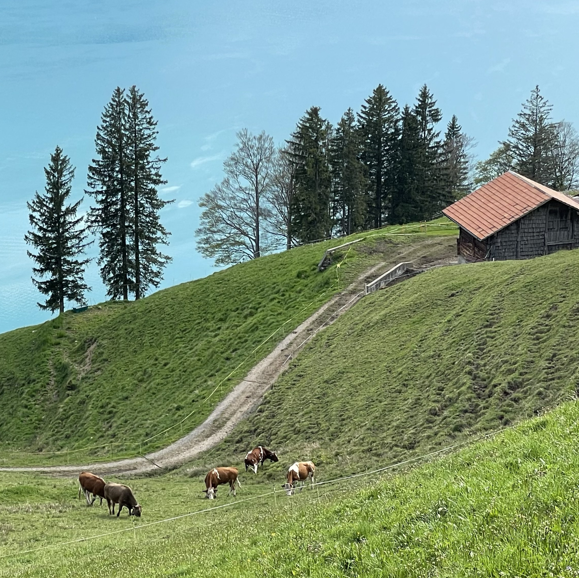 Things to Do in Brienz in 2024 - Top Attractions, Local Food, Hotels ...