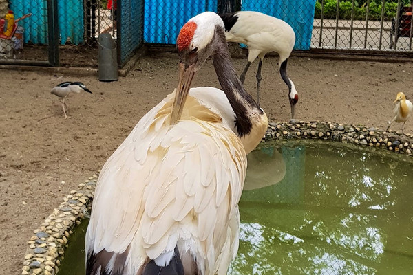 Thu Le Zoo | Trip.com Hanoi