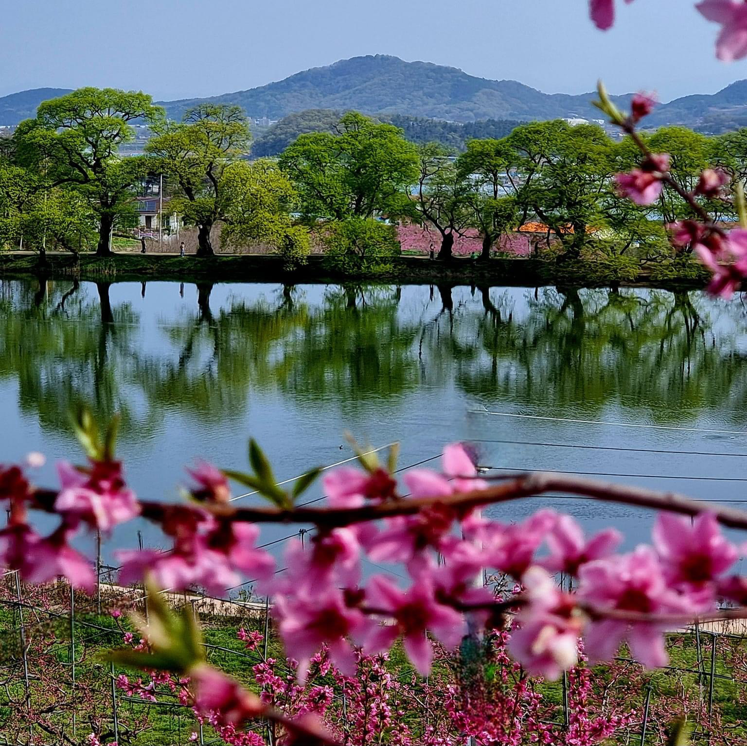 Things to Do in Gyeongsan-si in 2025 - Top Attractions, Local Food ...