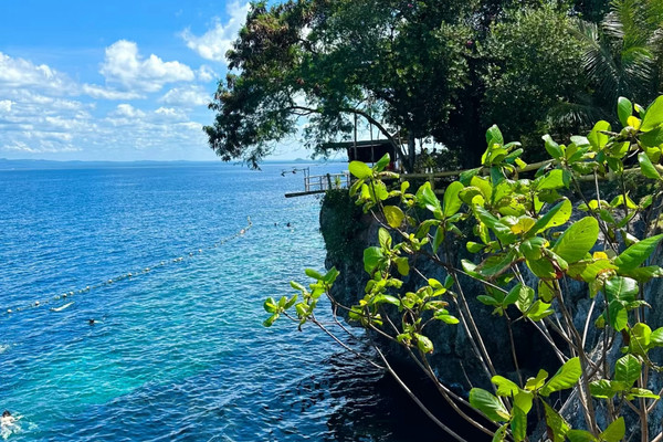 Bohol: A Tropical Paradise of Natural Wonders and Wildlife | Trip.com ...