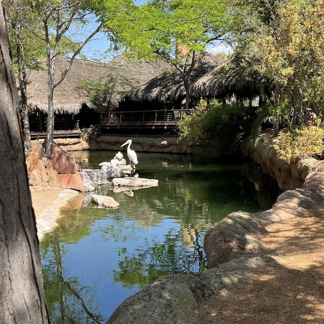 BIOPARC Valencia – An Immersive African Wilderness in Spain | Trip.com ...