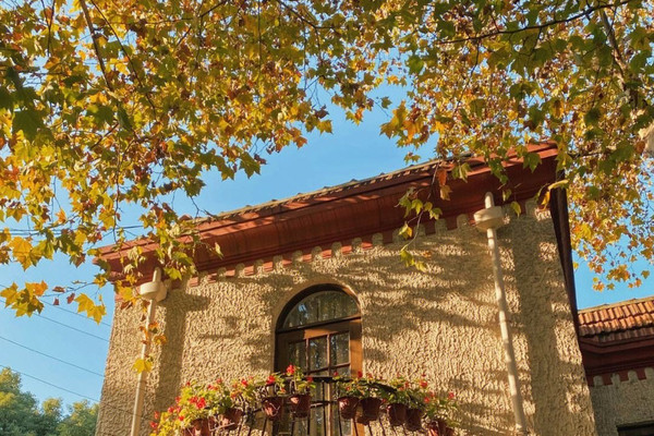Anfu Road-ถนนสายหนึ่งที่สวยที่สุดในเซี่ยงไฮ้ | Trip.com เซี่ยงไฮ้