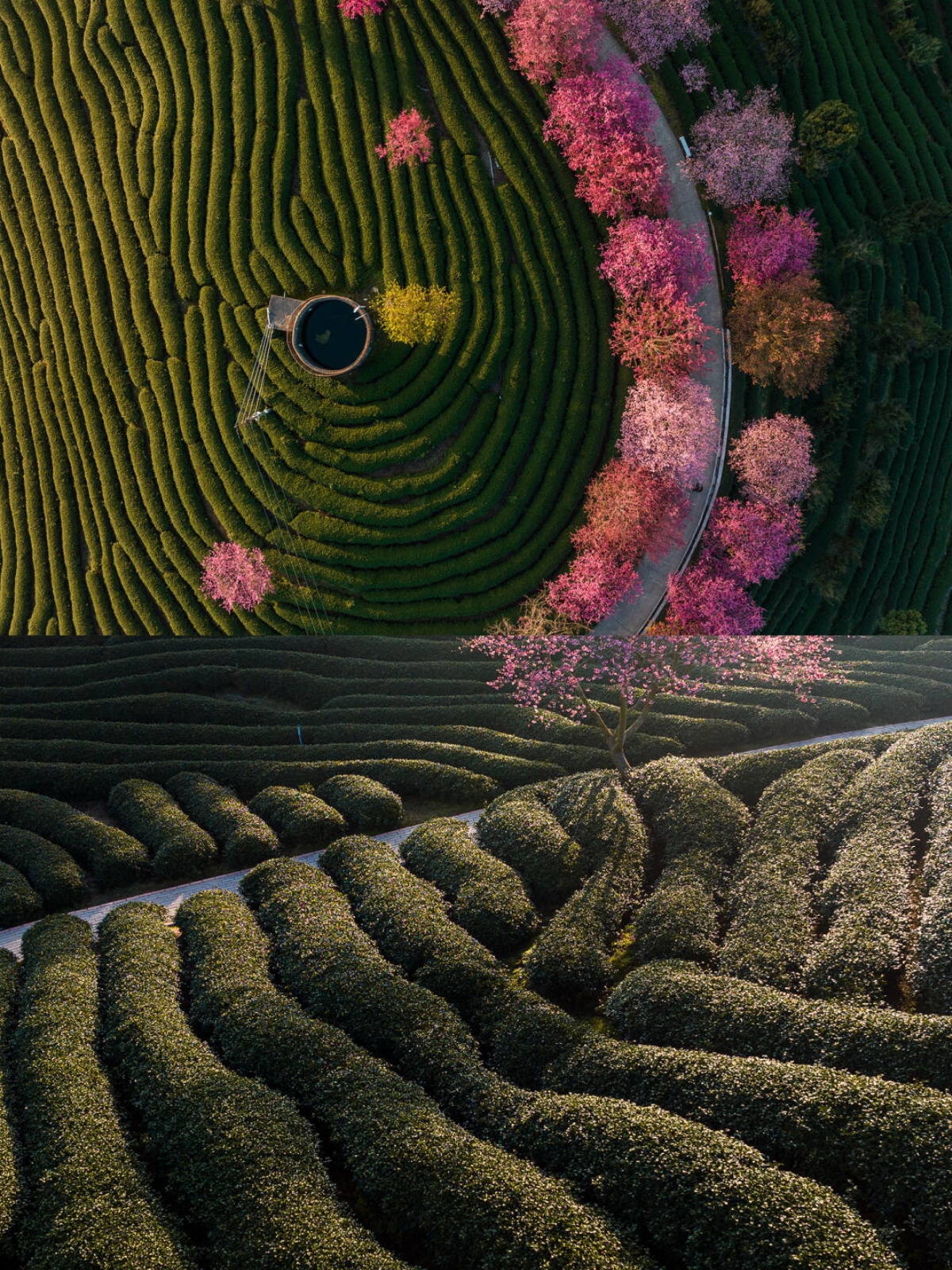 Things to Do in Longyan in 2025 - Top Attractions, Local Food, Hotels ...