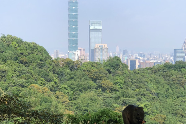 Tiger-Mountain in TAIPEI ⛰️ | Trip.com Taipei