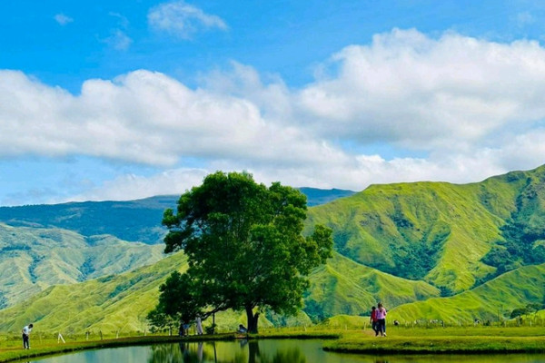 BREATHTAKING Scenery @Communal Ranch Bukidnon | Trip.com Impasug-ong