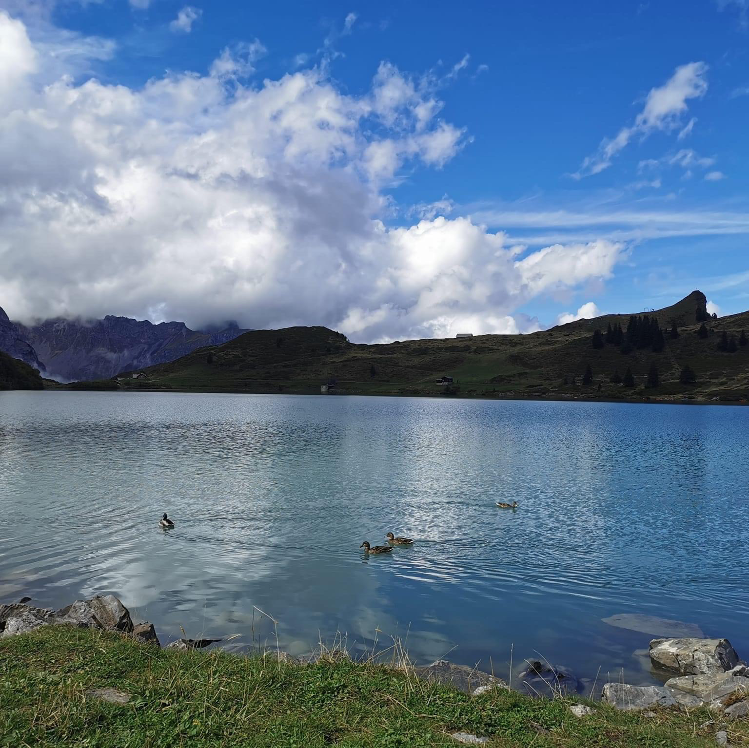 Things to Do in Wolfenschiessen in 2024 - Top Attractions, Local Food ...