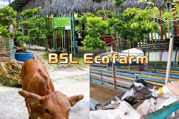 Feeding Cute Animals at BSL Ecofarm | Trip.com Ayer Hitam
