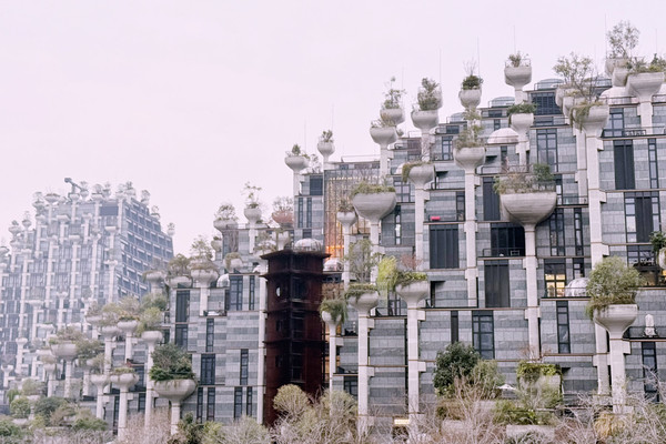 Exploring Shanghai's 1000 Trees: The Quirky Urban Jungle 🌳 | Trip.com ...