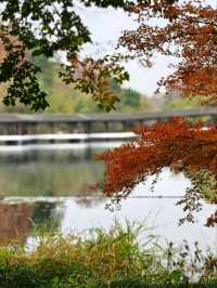 The Inner West Lake: Hangzhou's Serene Backwater Sanctuary | Trip.com ...