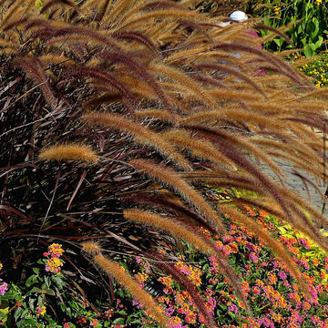 University of Minnesota Landscape Arboretum | Trip.com Chanhassen