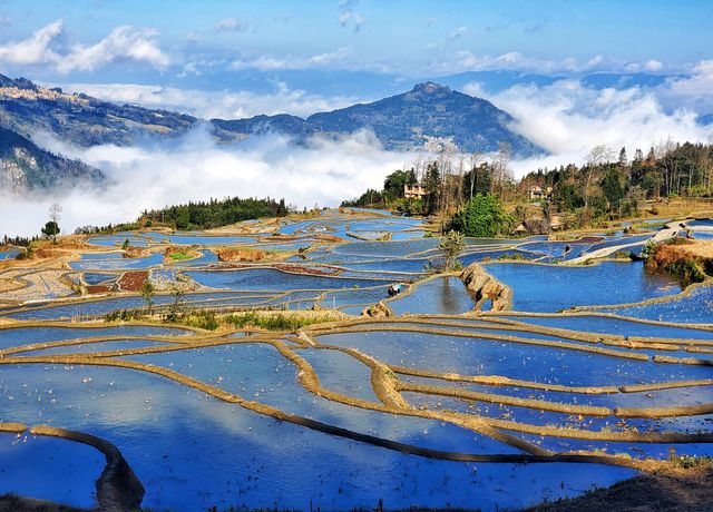 Yuanyang Rice Terraces, a World Heritage Site | Trip.com Yuanyang