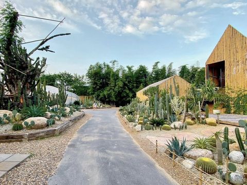 CHAN nature cafe' | Trip.com กาญจนบุรี