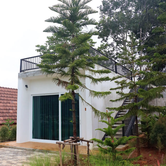 TC COZY KHAOYAI | Trip.com อำเภอ ปากช่อง