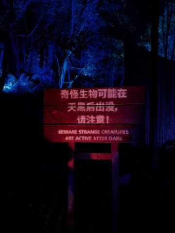 Shenzhen X Harry Potter | Trip.com Shenzhen