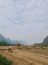 River Dreamscape🌄 | Trip.com Yangshuo