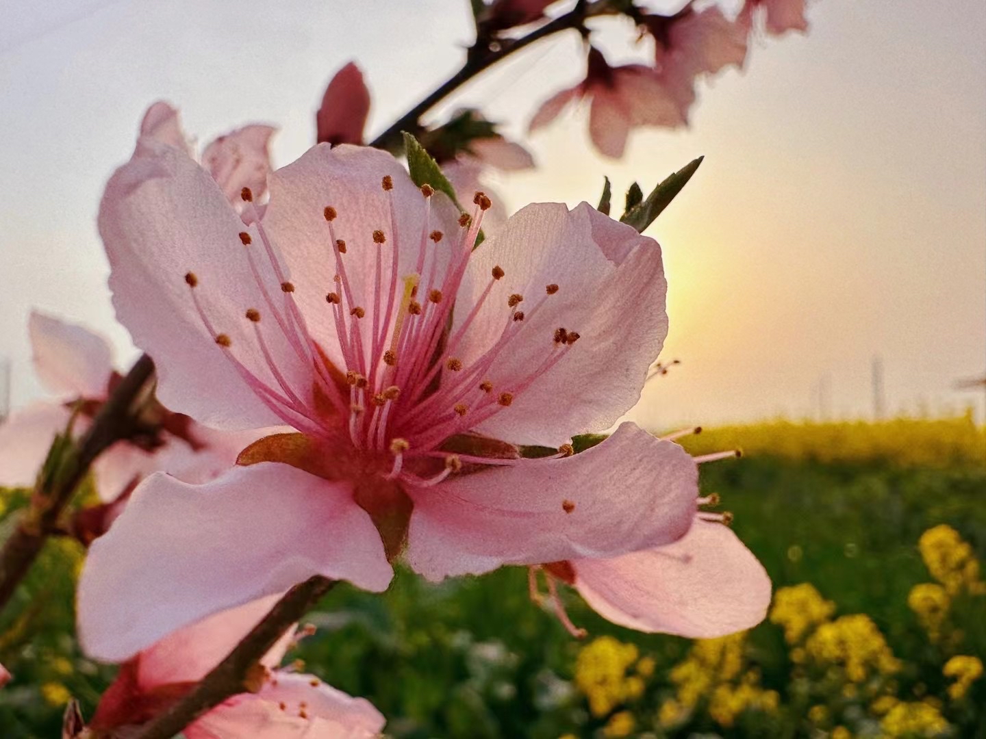 Things to Do in Nantong in 2024 - Top Attractions, Local Food, Hotels ...