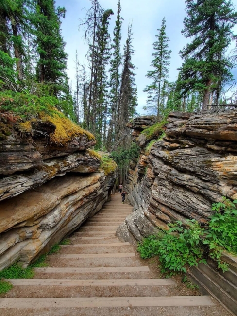 Things to Do in Improvement District No. 12 in 2025 - Top Attractions ...