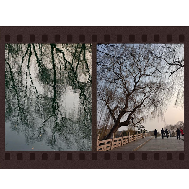 趵突泉冬日限定：水汽蒸騰的詩意仙境｜Trip.com 濟南