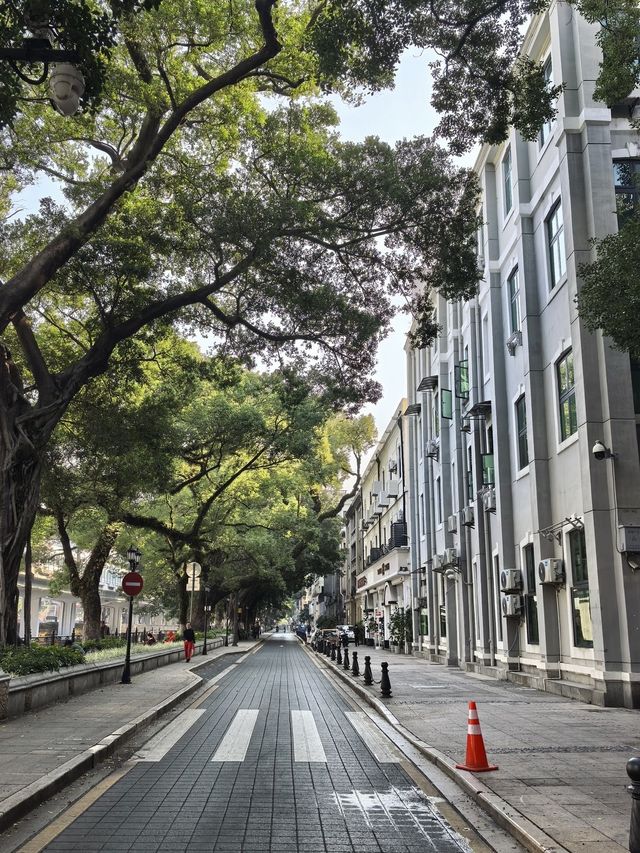 Shamian Island｜Experience Old Europe in Guangzhou | Trip.com Guangzhou