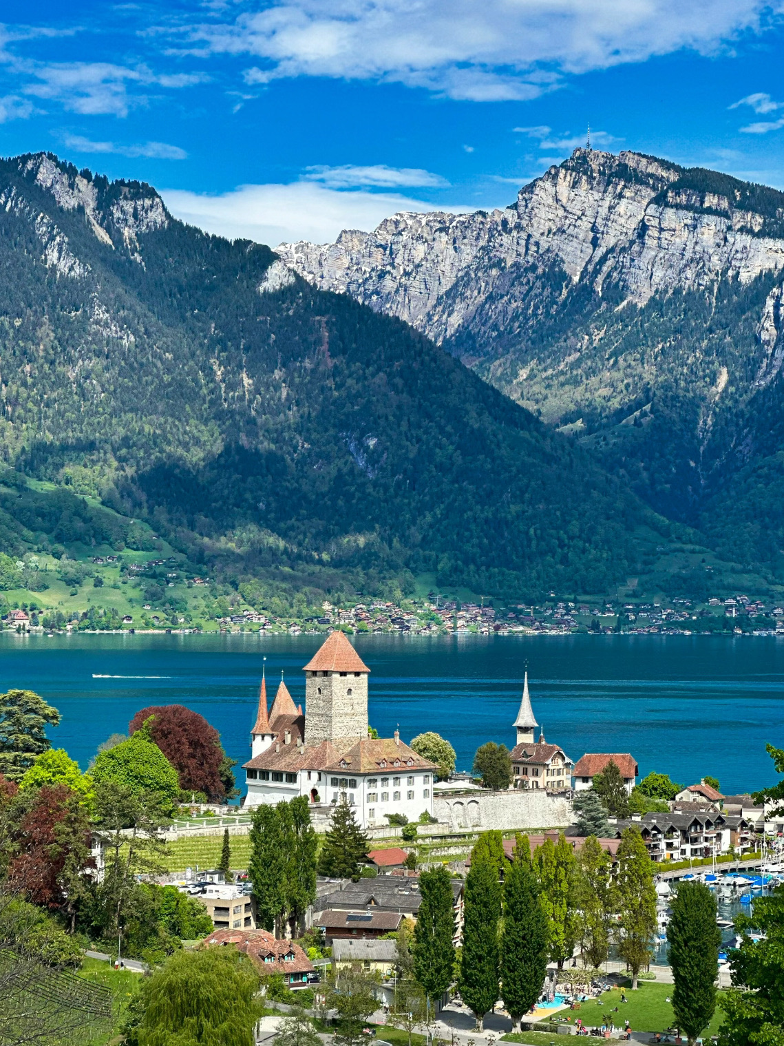 Things to Do in Spiez in 2025 - Top Attractions, Local Food, Hotels ...