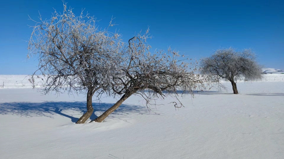 Things to Do in Chifeng in 2024 - Top Attractions, Local Food, Hotels ...