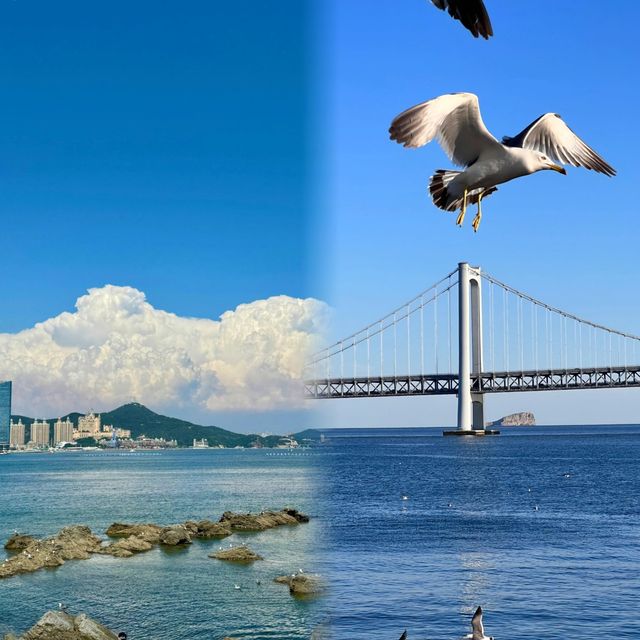 The most comprehensive guide to sea views in Dalian! ! !(With routes ...