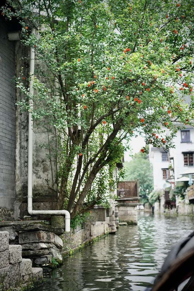 Slow-paced life in a water town | Stay in a room full of gentle comfort ...
